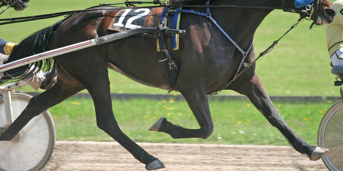 Polyglycan - Polyglycan