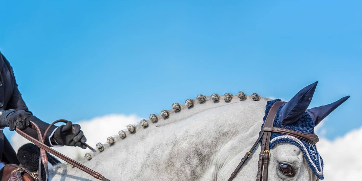 Polyglycan - Polyglycan